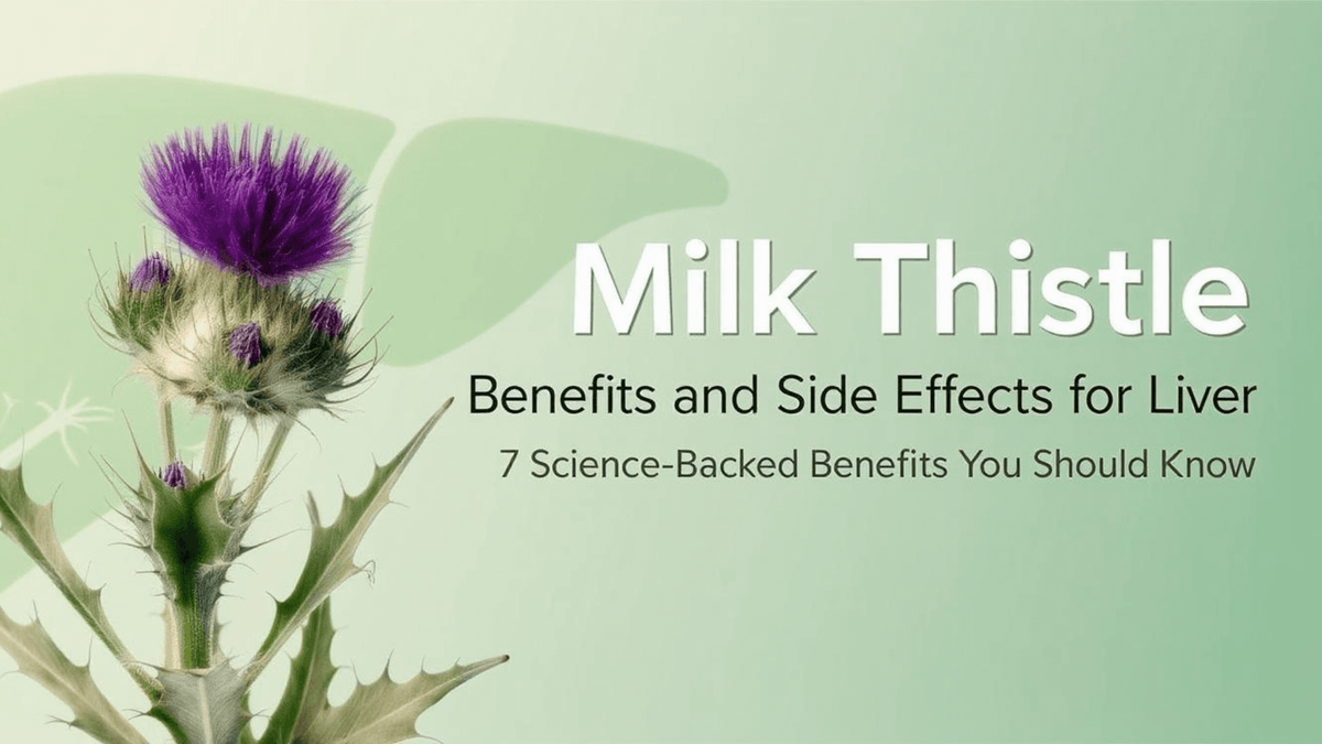 Milk Thistle Benefits and Side Effects for Liver: 7 Evidence-Based ...