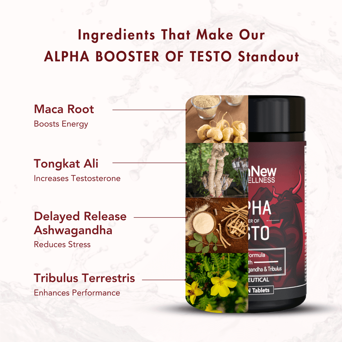 Alpha Booster Testo | Natural T-Booster – WishNew Wellness