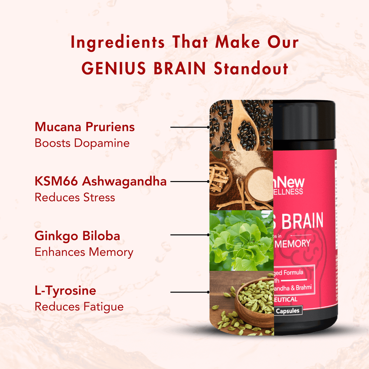 Genius Brain Nootropic for Focus, Memory, and Cognitive Support ...